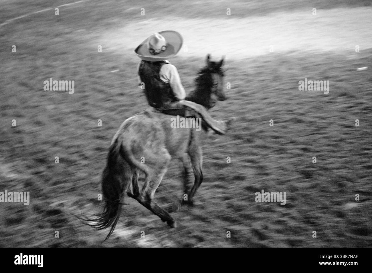 Mexican cowboy riding a wild horse during one of the events of a ...