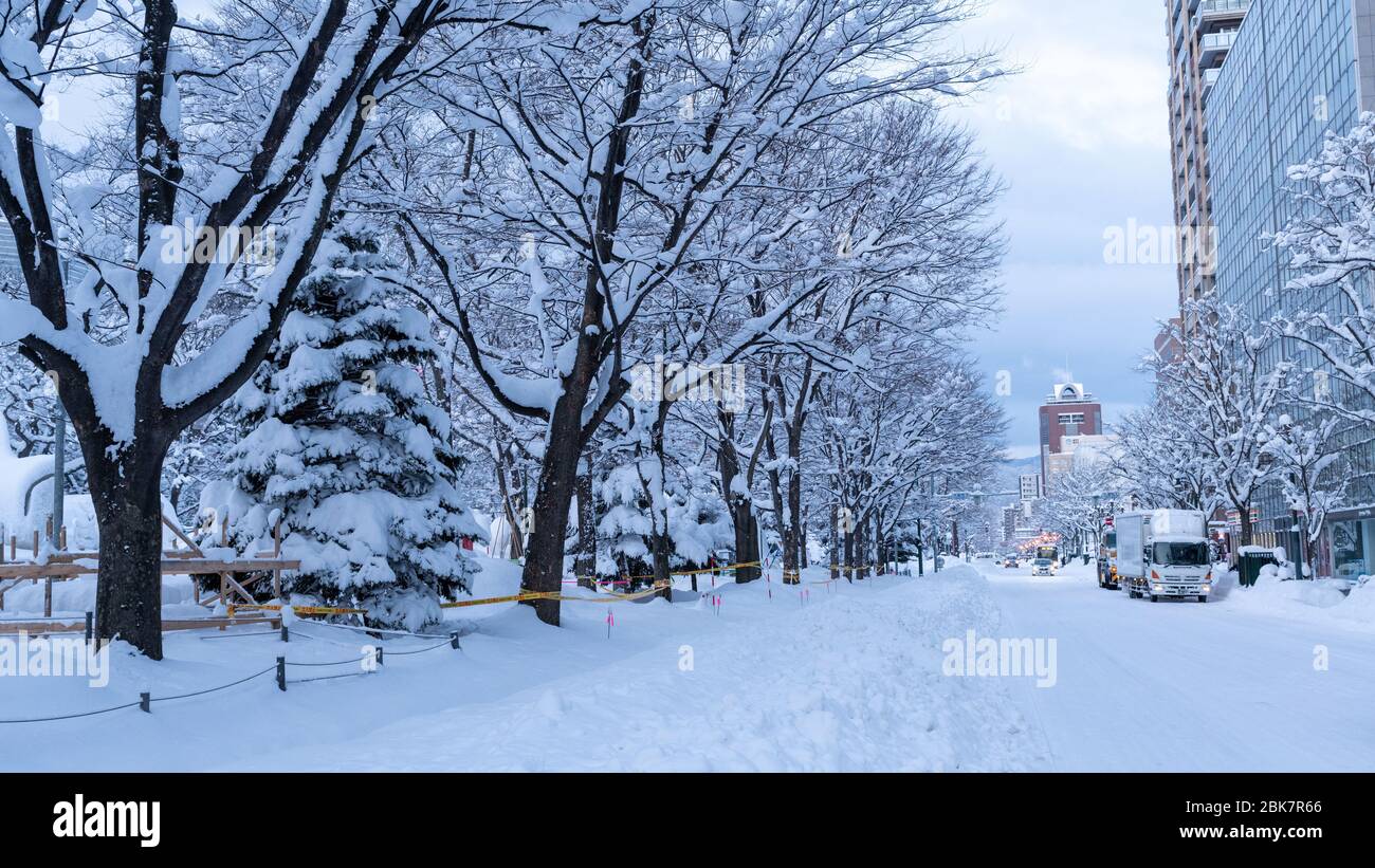Snow Scene, Sapporo, Hokkaido, Japan Stock Photo - Alamy