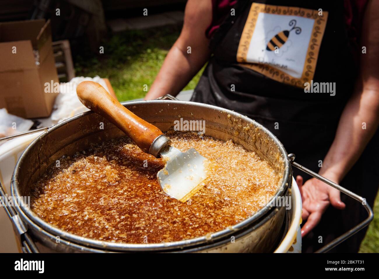 Raw honey in strainer being processed from honeycomb with persons arms ...