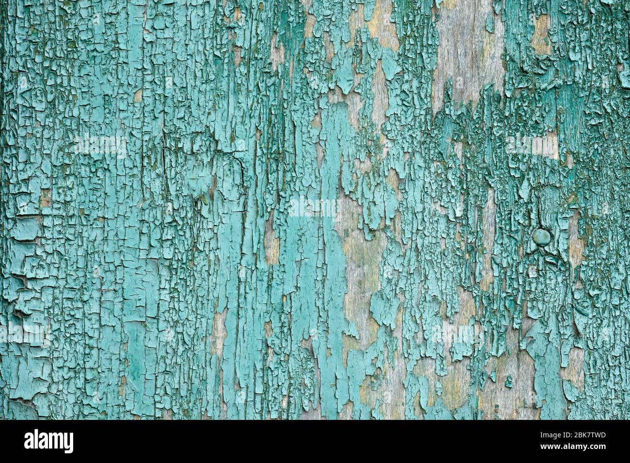 Rustic Paint Texture