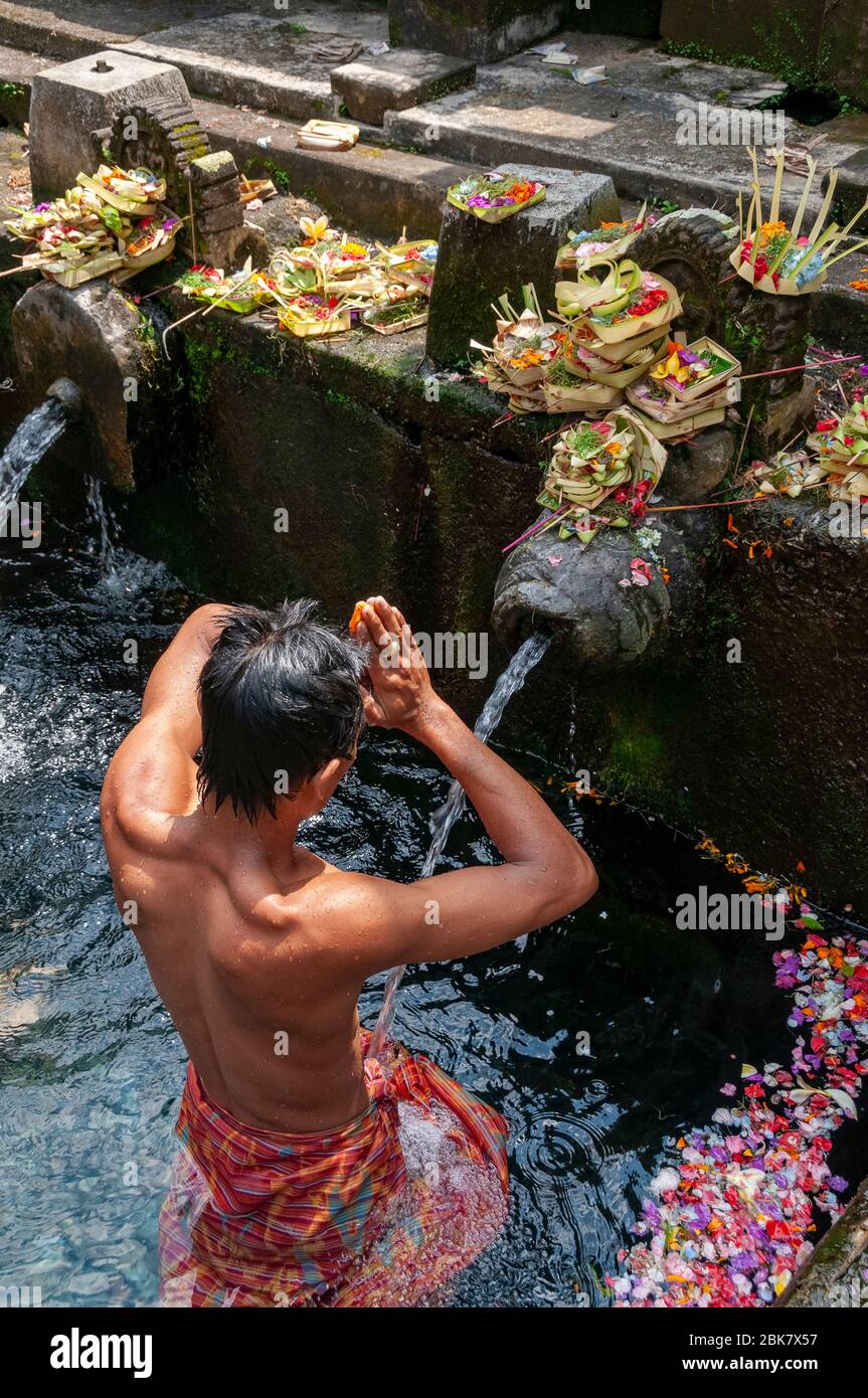 Male worshiper at Tirta Empul Holy Springs Bali Indonesia Stock Photo ...