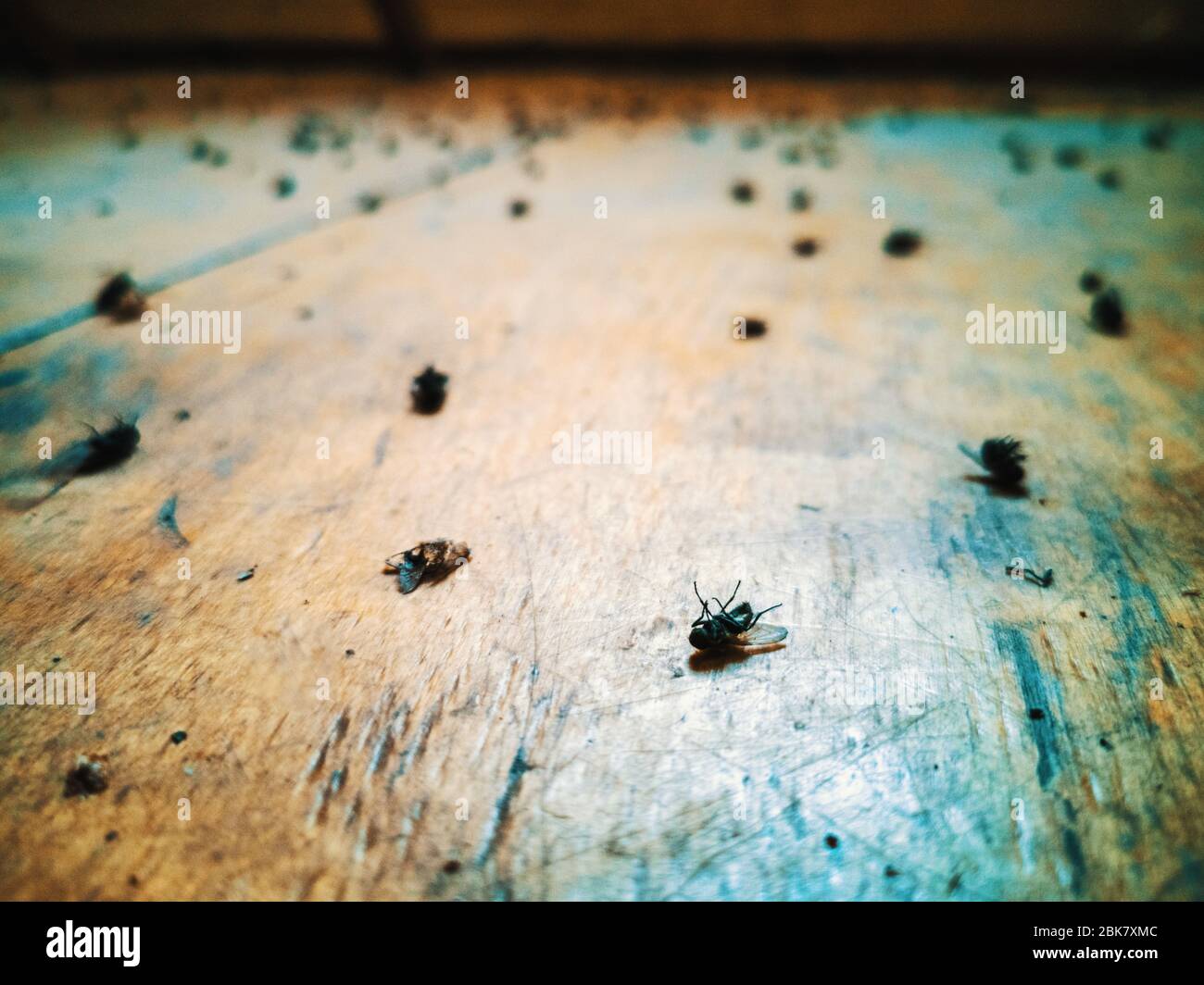 Corpse tower hi-res stock photography and images - Alamy