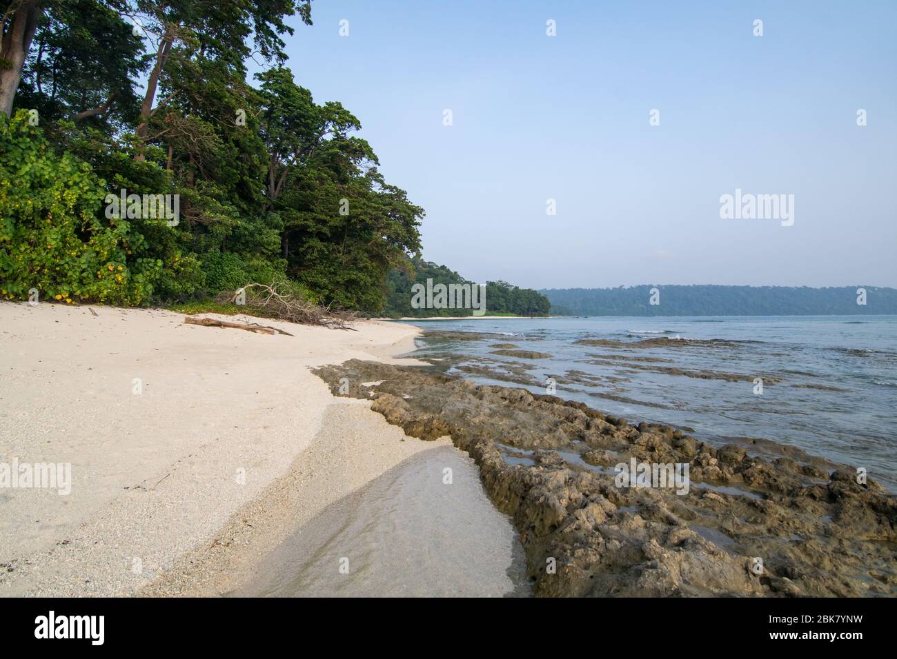 Radhanagar Beach at Havelock Island Stock Photo - Alamy
