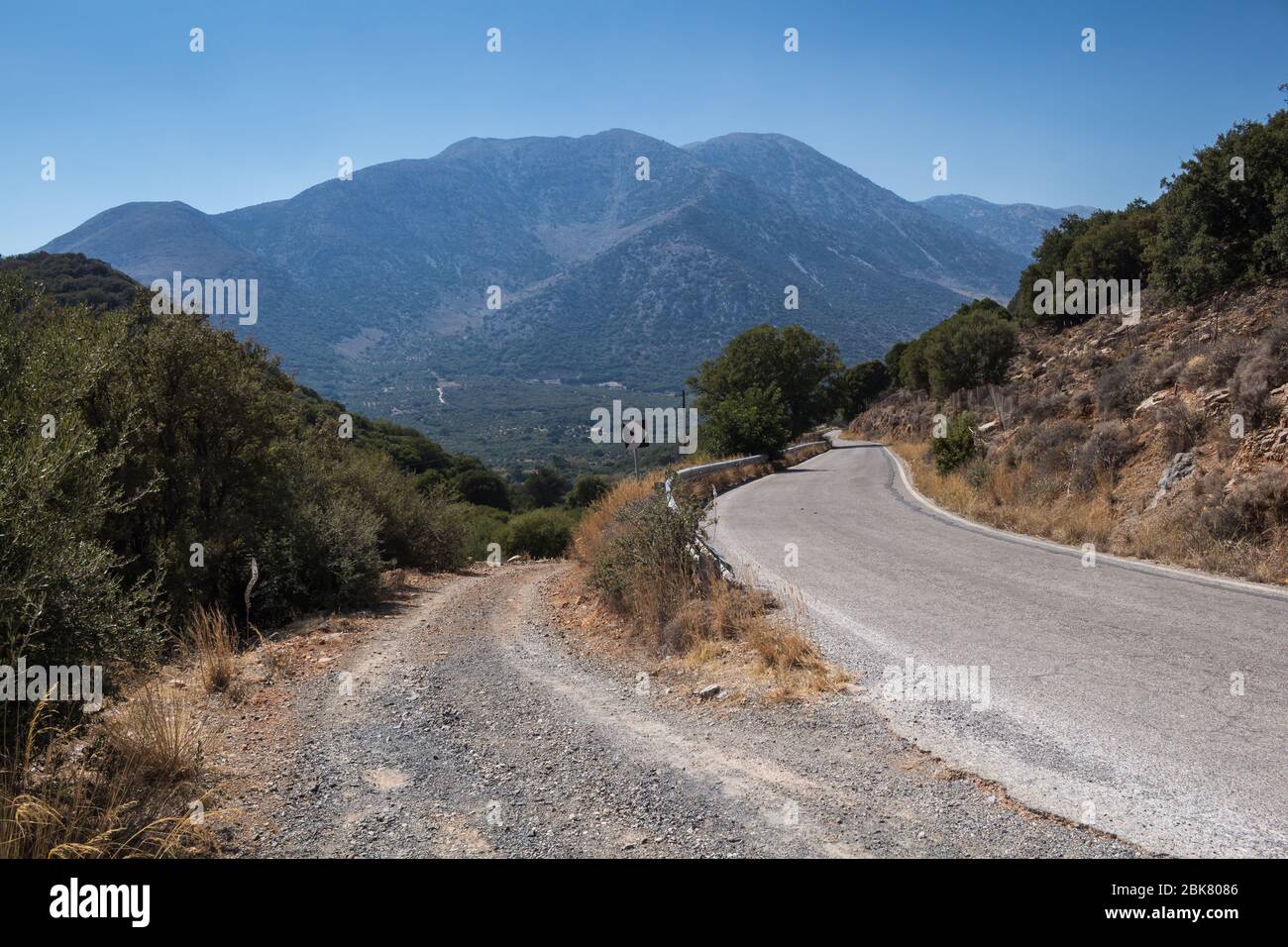 Soil trees hi-res stock photography and images - Alamy
