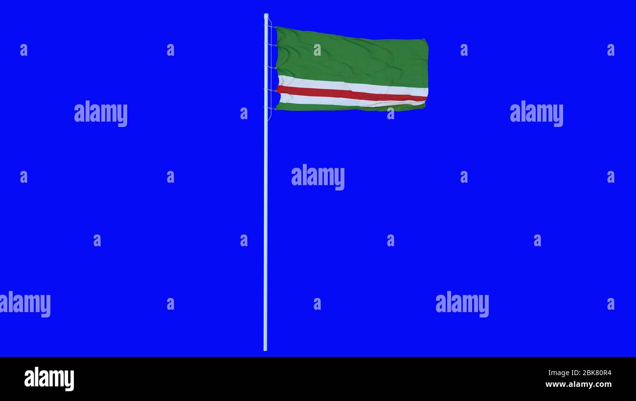 Chechen Republic of Ichkeria Flag Waving on wind on blue screen or ...
