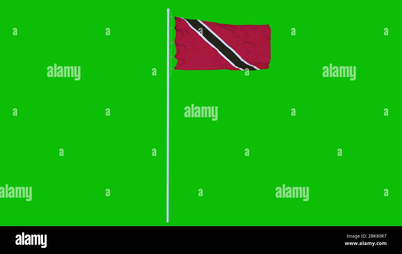 Trinidad and Tobago Flag Waving on wind on green screen or chroma key ...