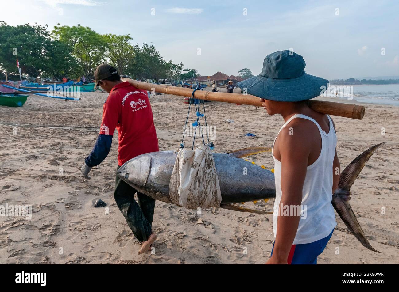 Yellowfin tuna caught hi-res stock photography and images - Alamy