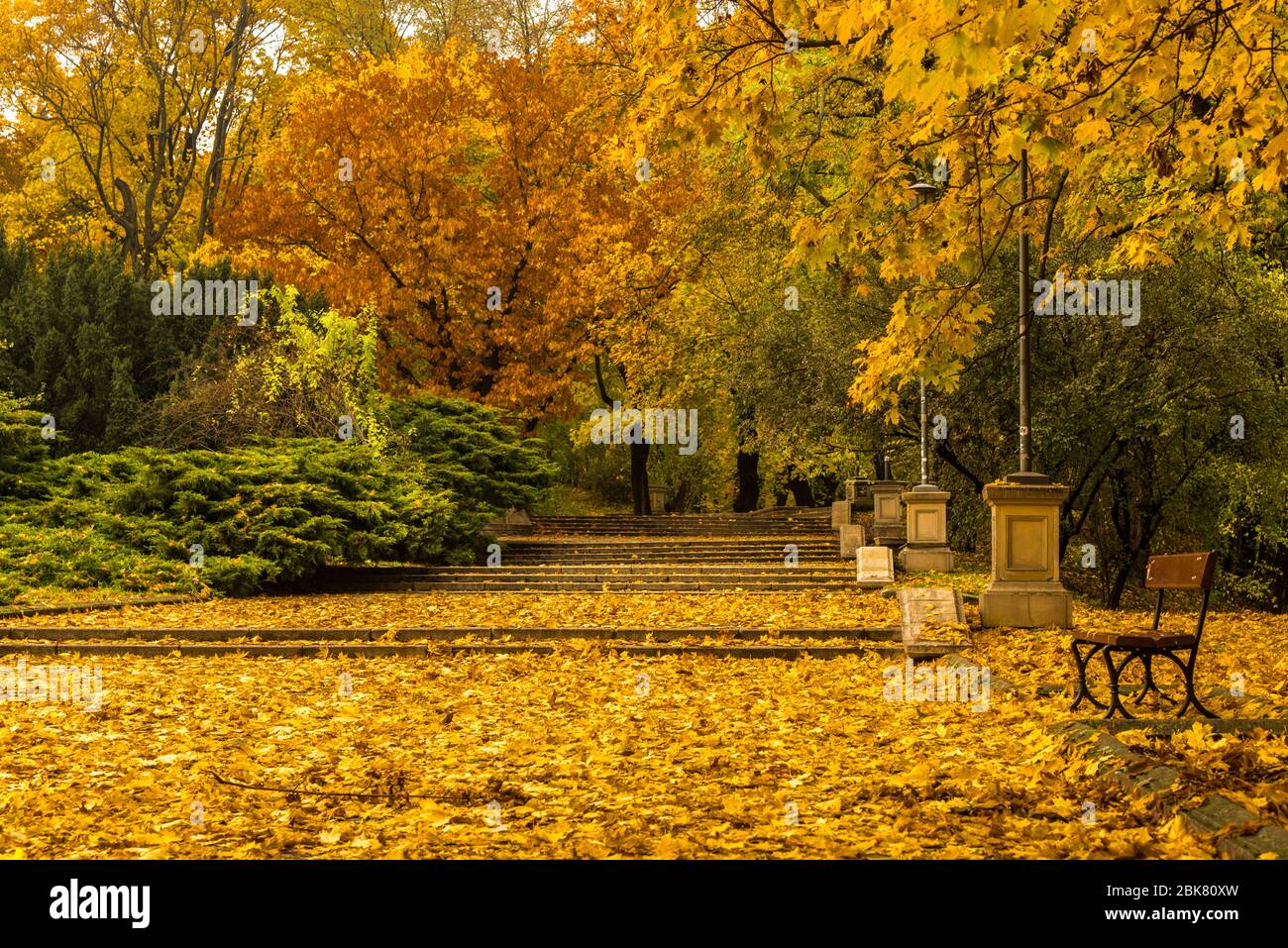 Polish golden autumn hi-res stock photography and images - Alamy