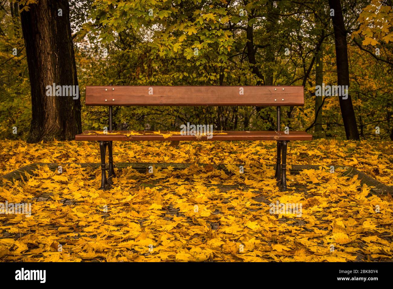 Autumn in Warsaw Stock Photo - Alamy