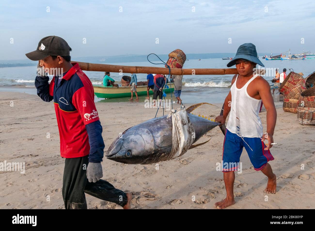 Yellowfin tuna caught hi-res stock photography and images - Alamy