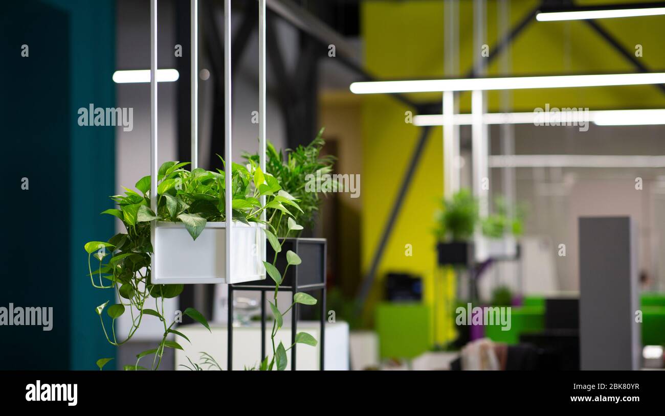 Decoration modern office interior style green eco environmental Stock ...