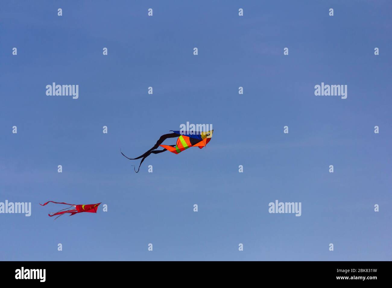 Colorful ribbons and kite figures hanging on poles and flying on blue ...
