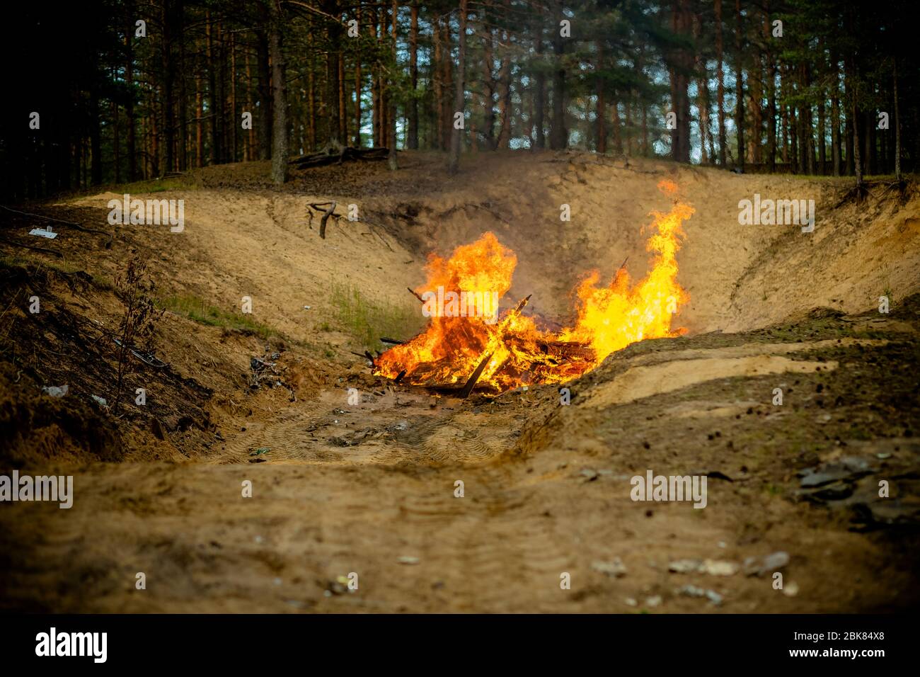 Soft flame fire and smoke is burning garbage and dry grass. Waste ...