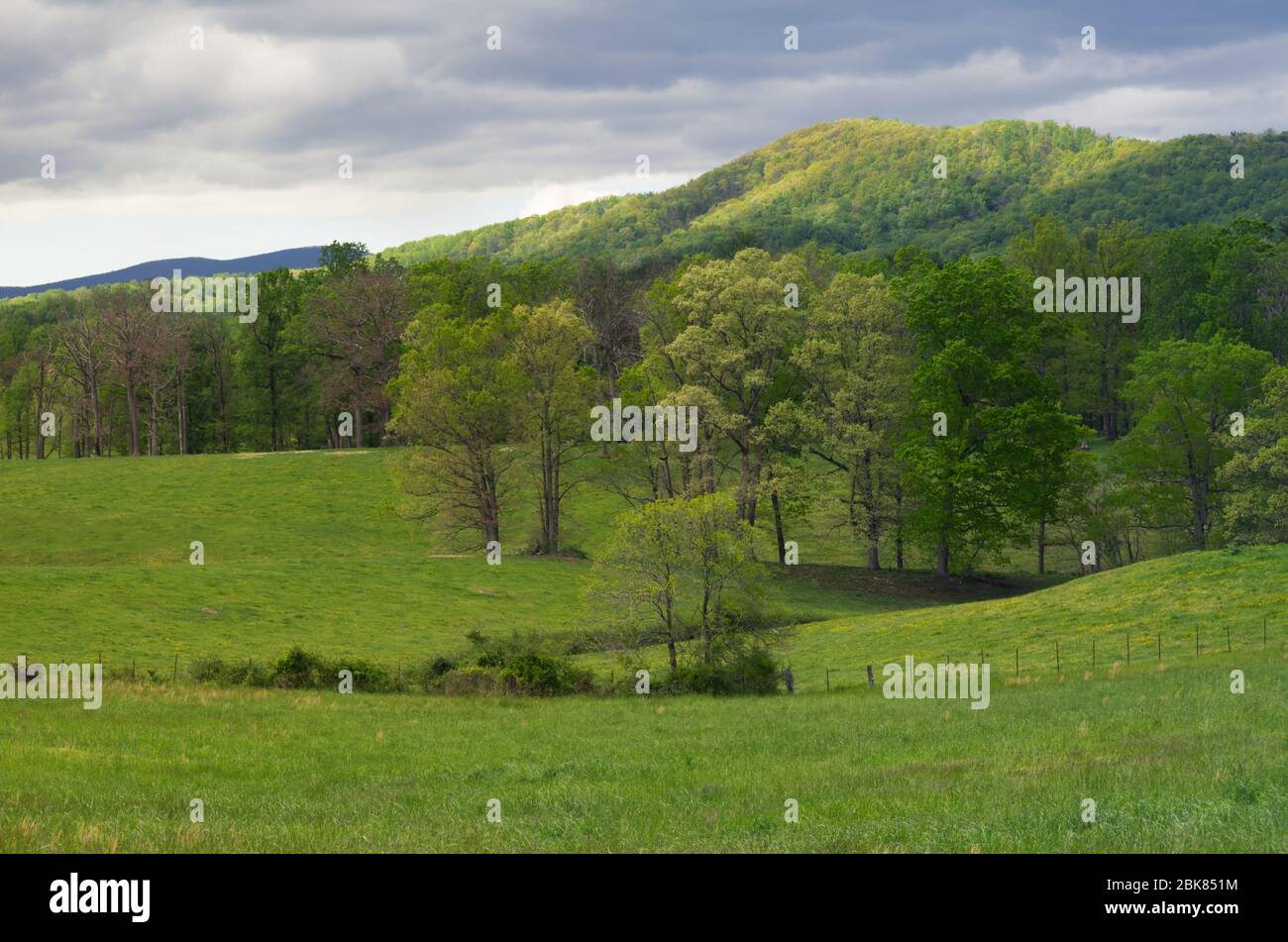 a mountain pasture on a spring afternoon in the Blue Ridge Mountains ...