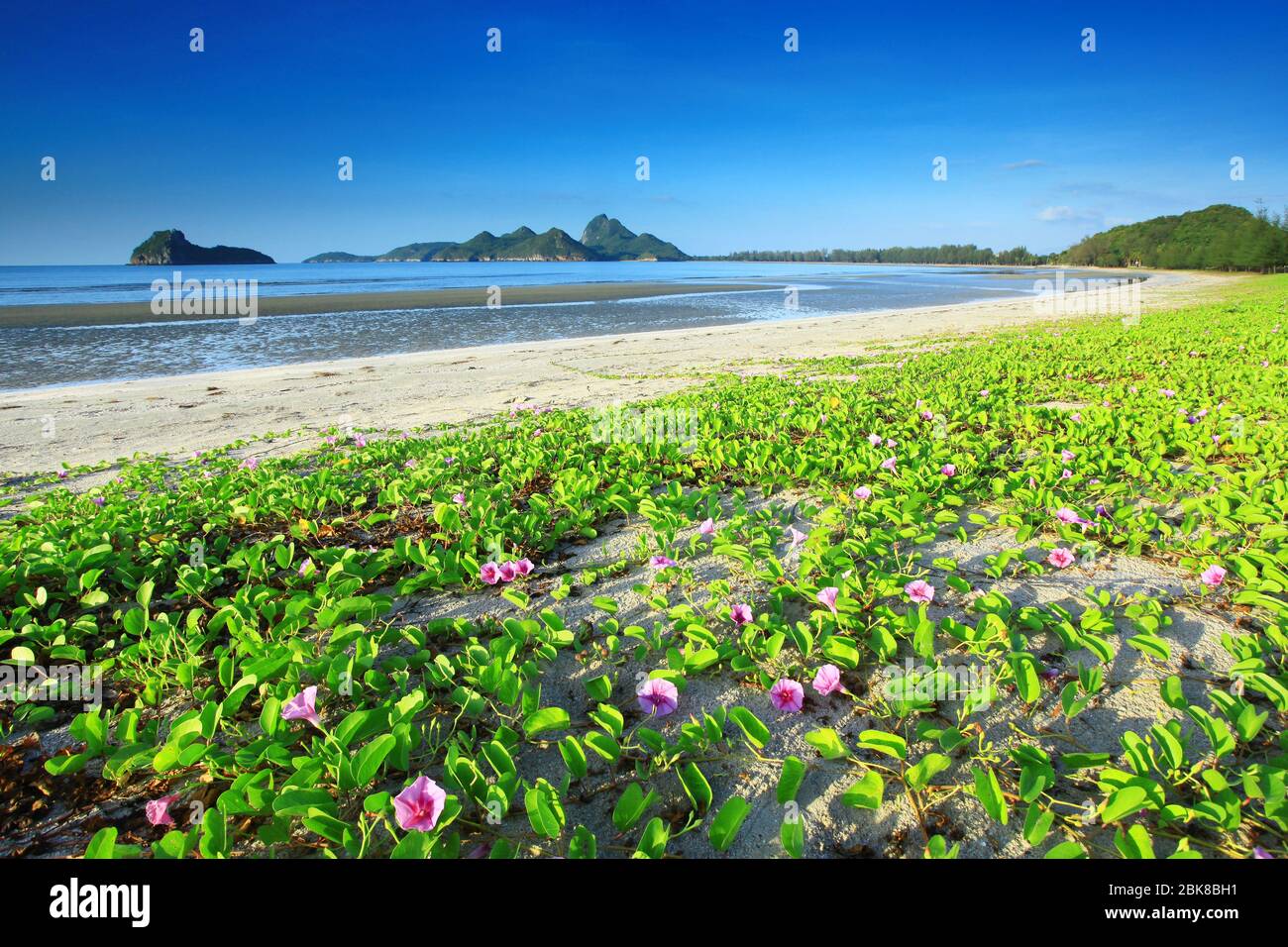 Manow bay hi-res stock photography and images - Alamy