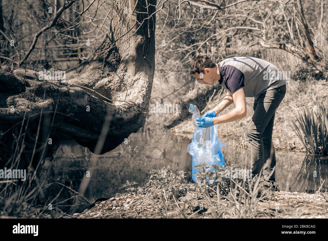 cleaning of plastic waste on the river bank by a volunteer. Helping ...