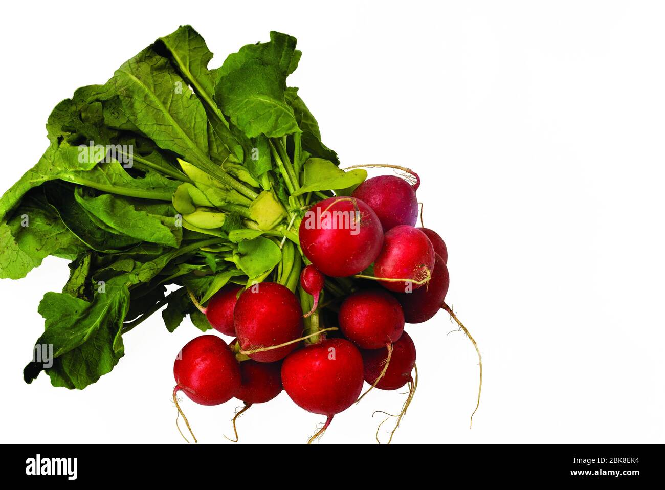Close up view of red radish isolated on white background. Healthy food ...