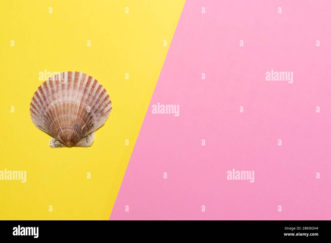 Beautiful big scallop and mermaid shell on yellow and pink geometric ...