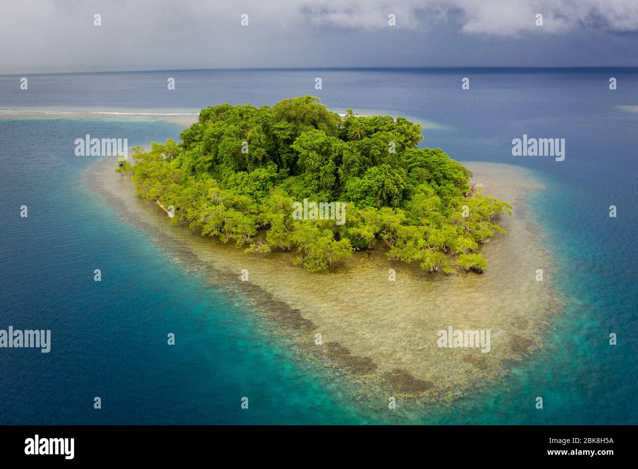 Tropical Rainforest Island