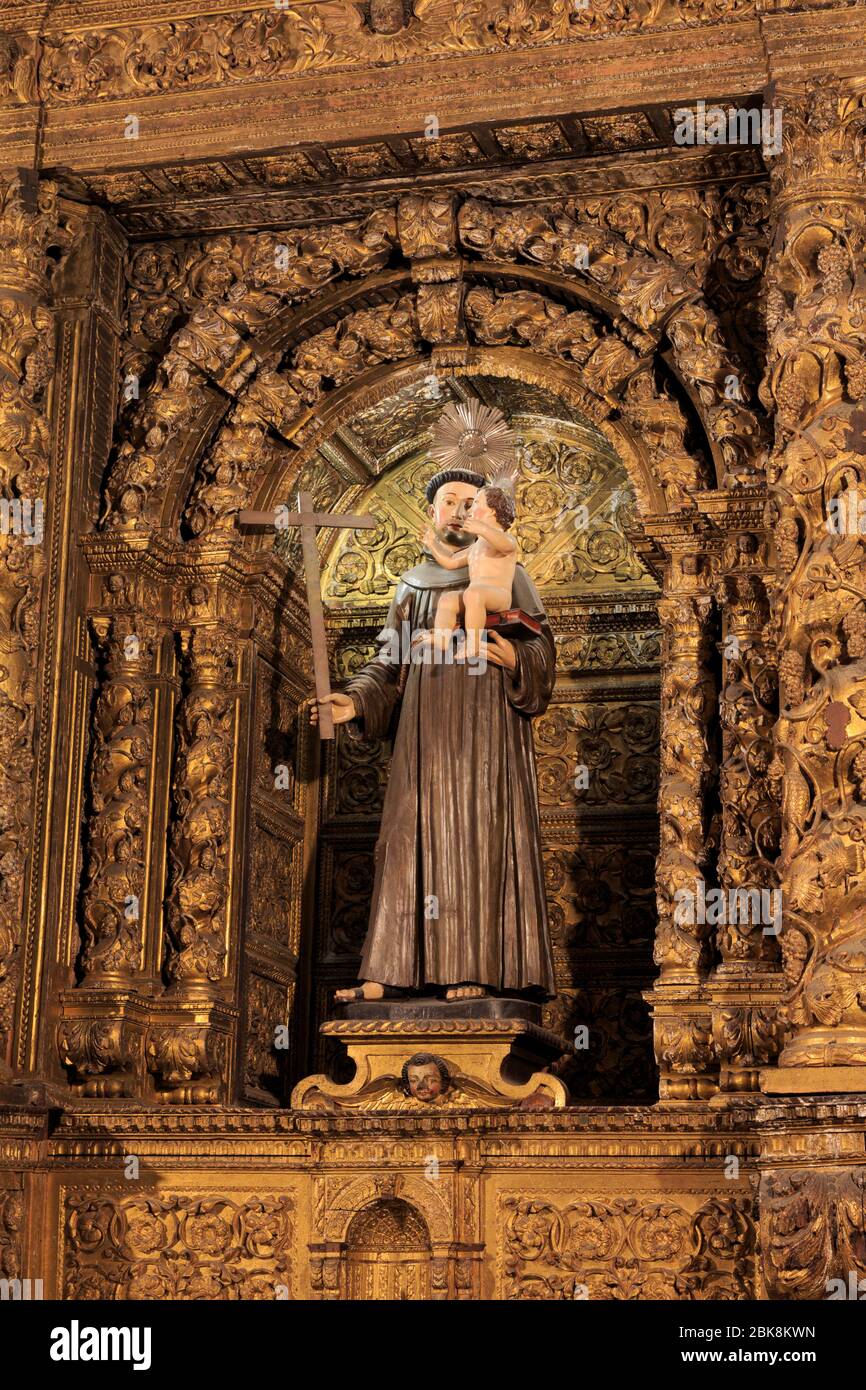 Cathedral, Funchal City, Madeira Island, Portugal, Europe Stock Photo ...