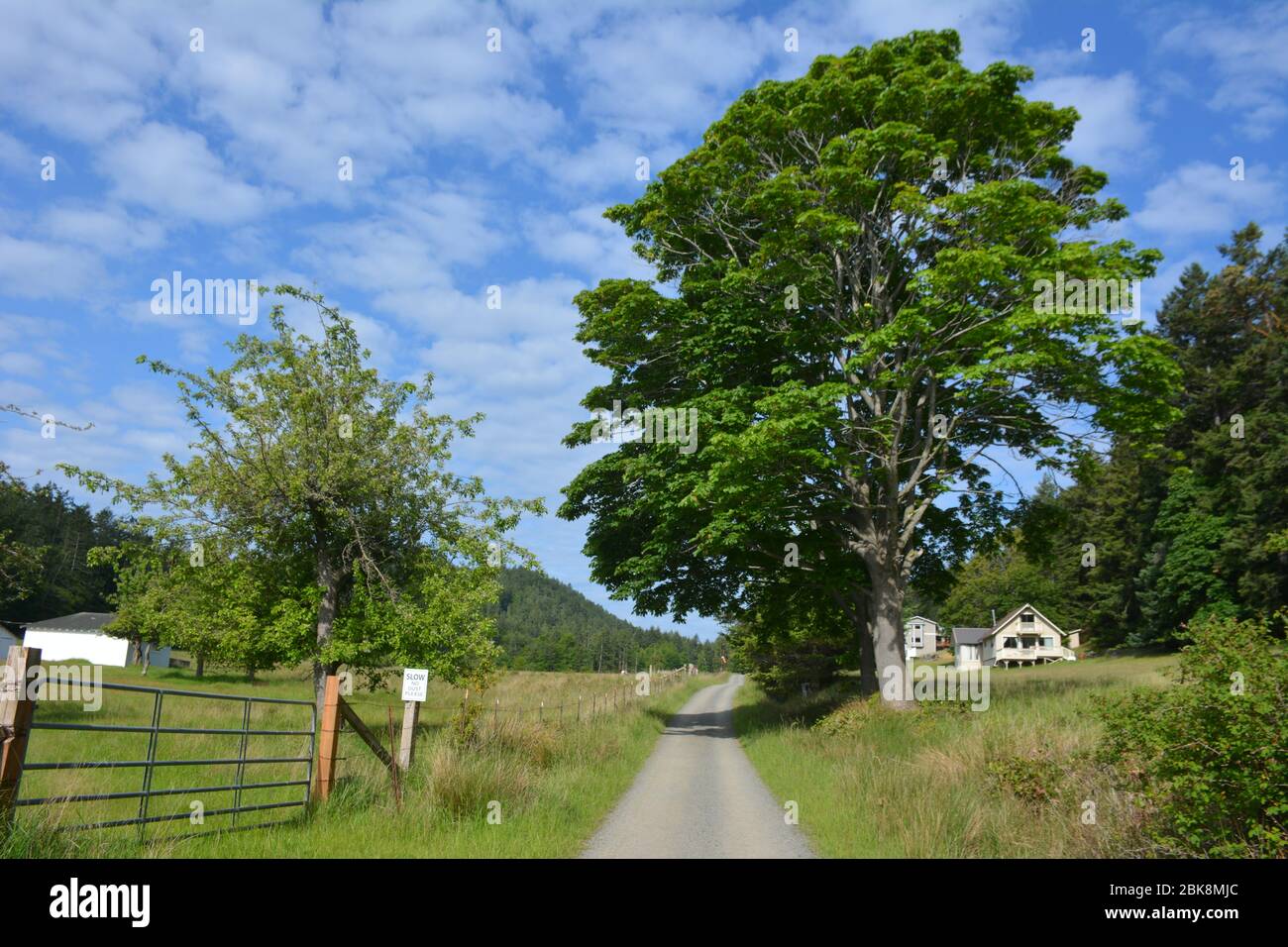 The settlement of Prevost on Stuart Island in the San Juan Islands ...