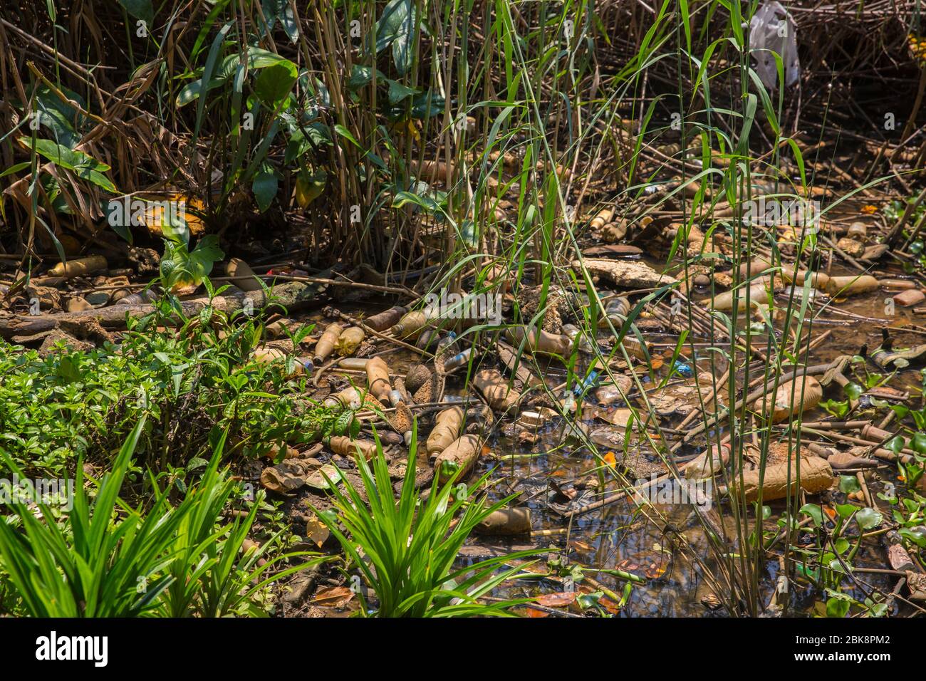 Plastic pollution in the Kelani Ganga River at Colombo in Sri Lanka ...