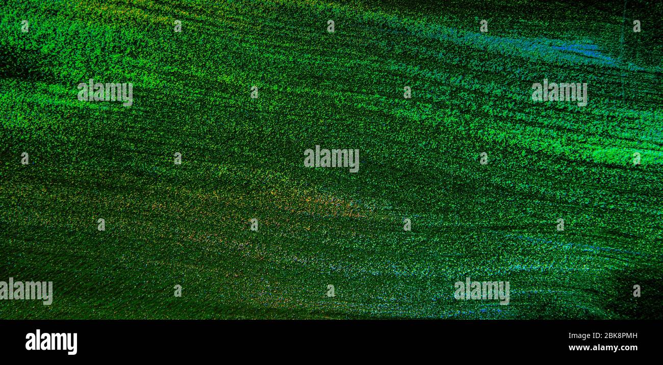 Sprinkled with powder paint hi-res stock photography and images - Alamy