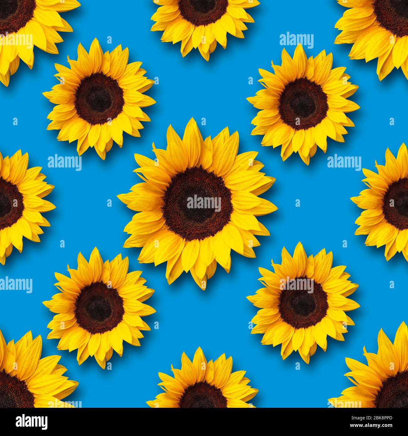 Sunflower Background Pattern