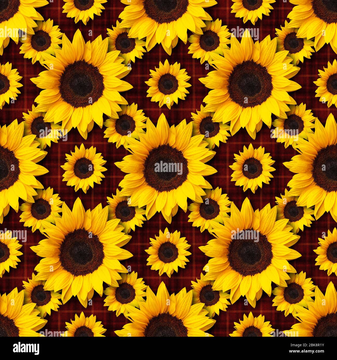 Repeat pattern and nature hi-res stock photography and images - Alamy