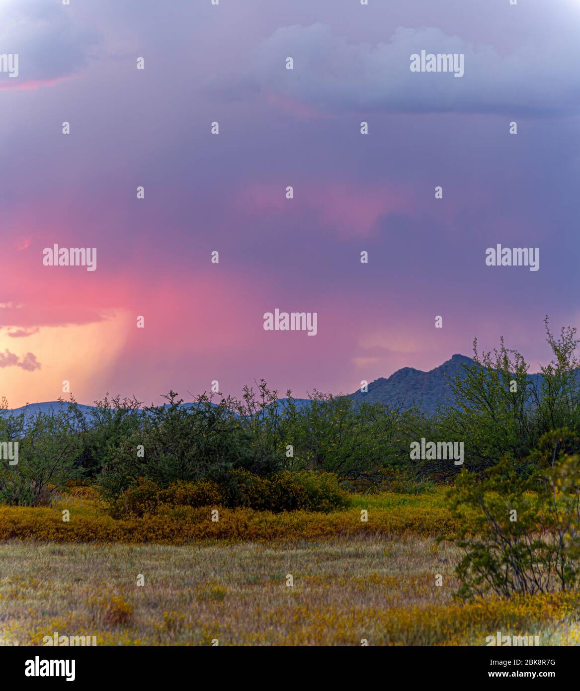Desert distant rain hi-res stock photography and images - Alamy