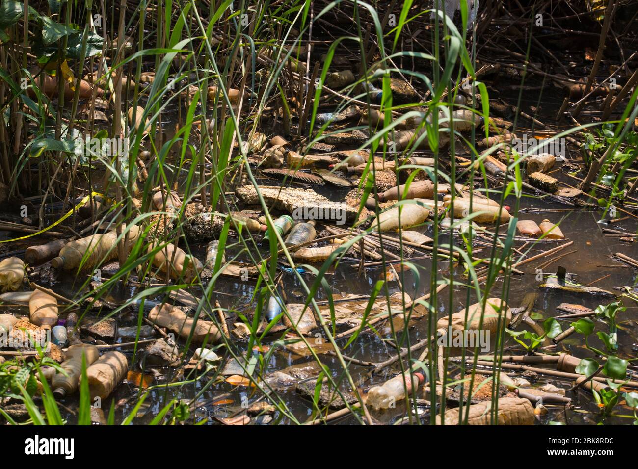 Plastic pollution in the Kelani Ganga River at Colombo in Sri Lanka ...
