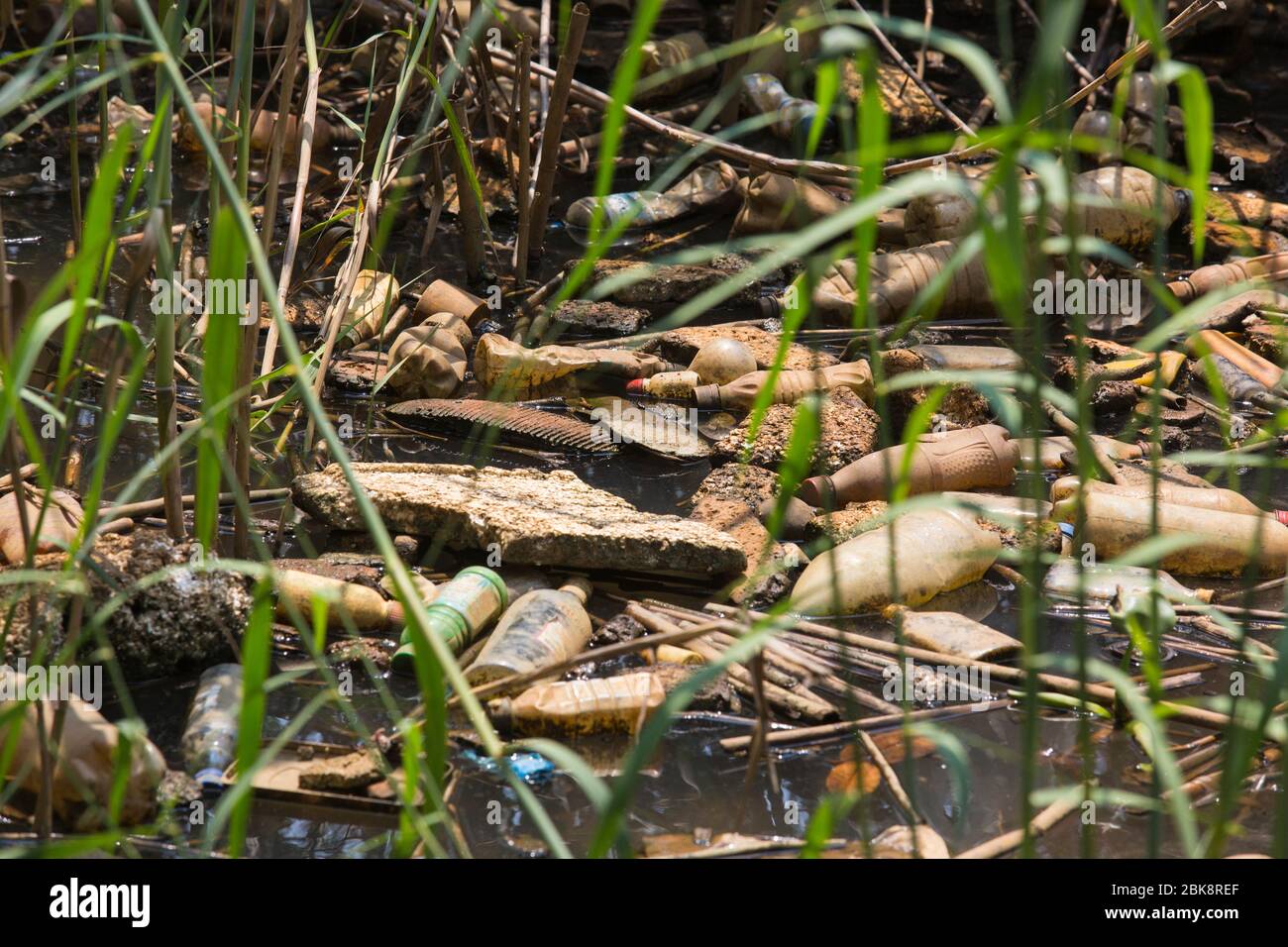 Plastic pollution in the Kelani Ganga River at Colombo in Sri Lanka ...