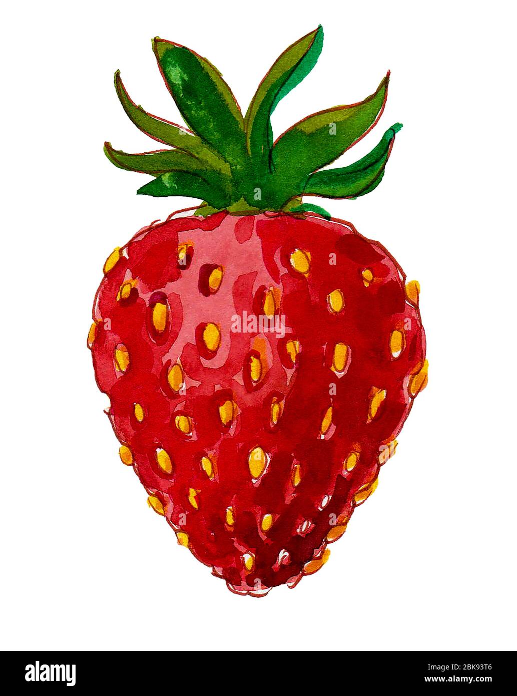 Red strawberry. Ink and watercolor drawing Stock Photo - Alamy