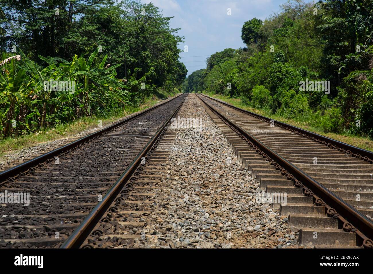 Sri lanka train track hi-res stock photography and images - Alamy