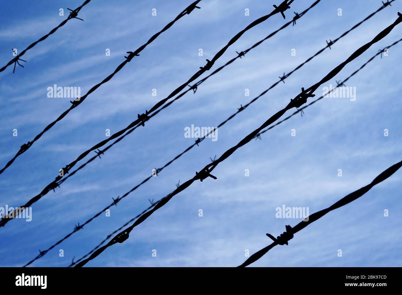 Barbed wire, sky in background - prison/ jail Stock Photo - Alamy