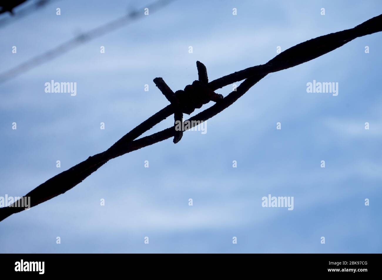 Barbed wire, sky in background - prison/ jail Stock Photo - Alamy