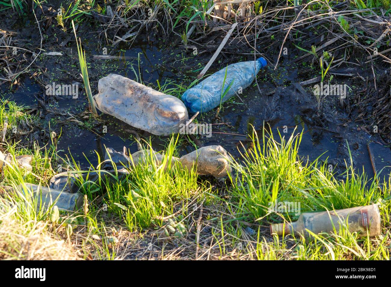 Plastic bottles thrown into a pond. Environmental pollution Stock Photo ...