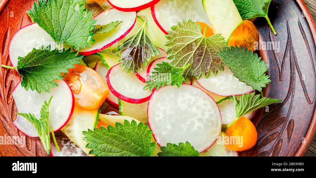 Healthy vegetable salad of nettle on plate.Healthy food concept.Food ...