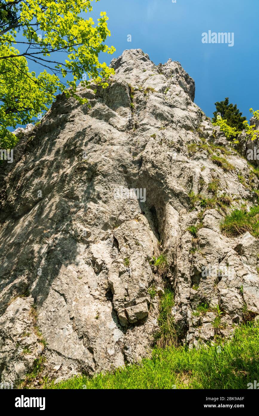 Limestone rock formation with tree branches around and clear sky above ...