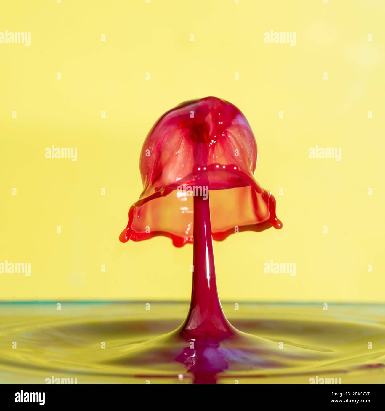 Stunning unique abstract water splash photography images with vibrant ...