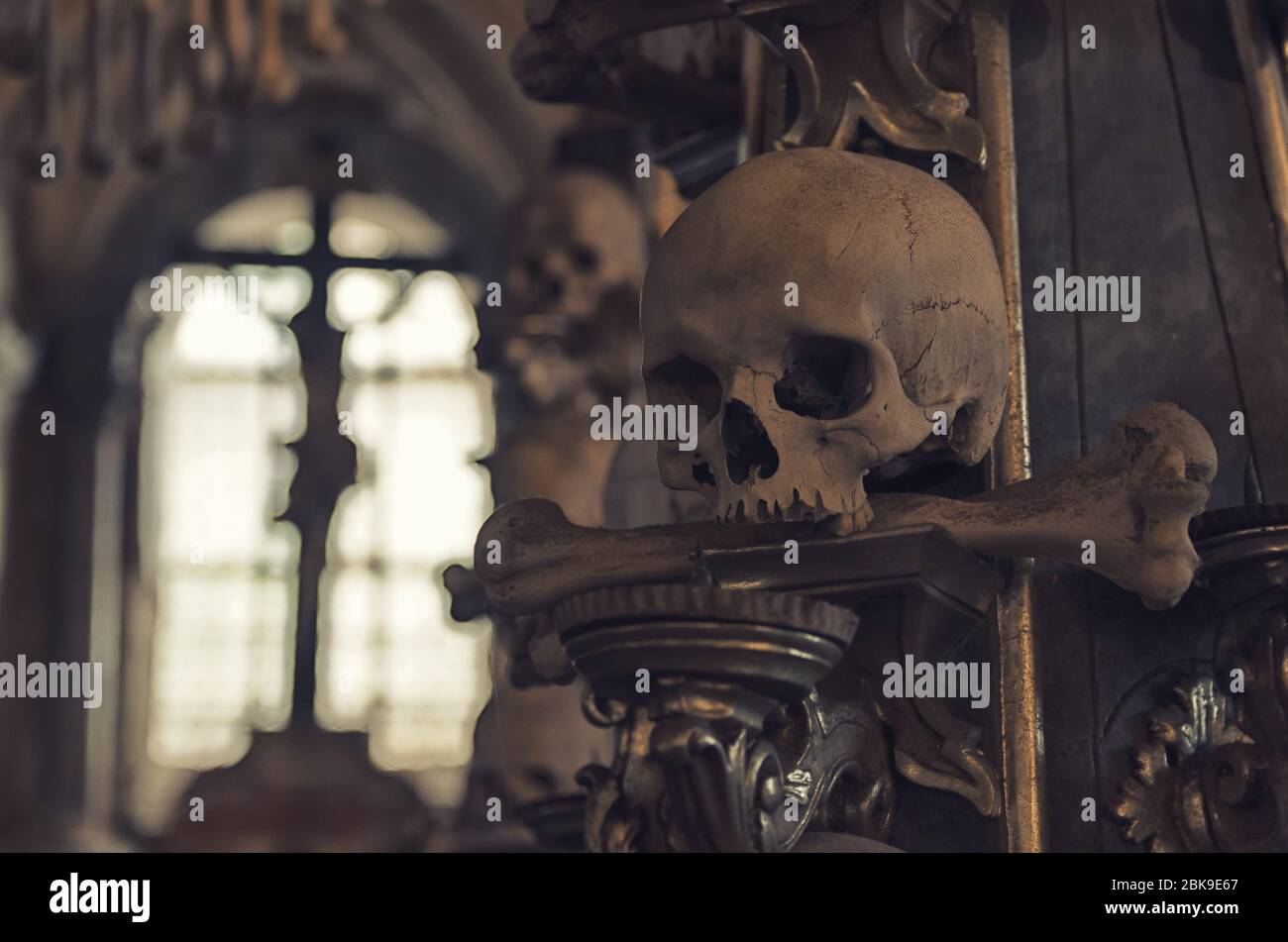 Human scull bones hi-res stock photography and images - Alamy