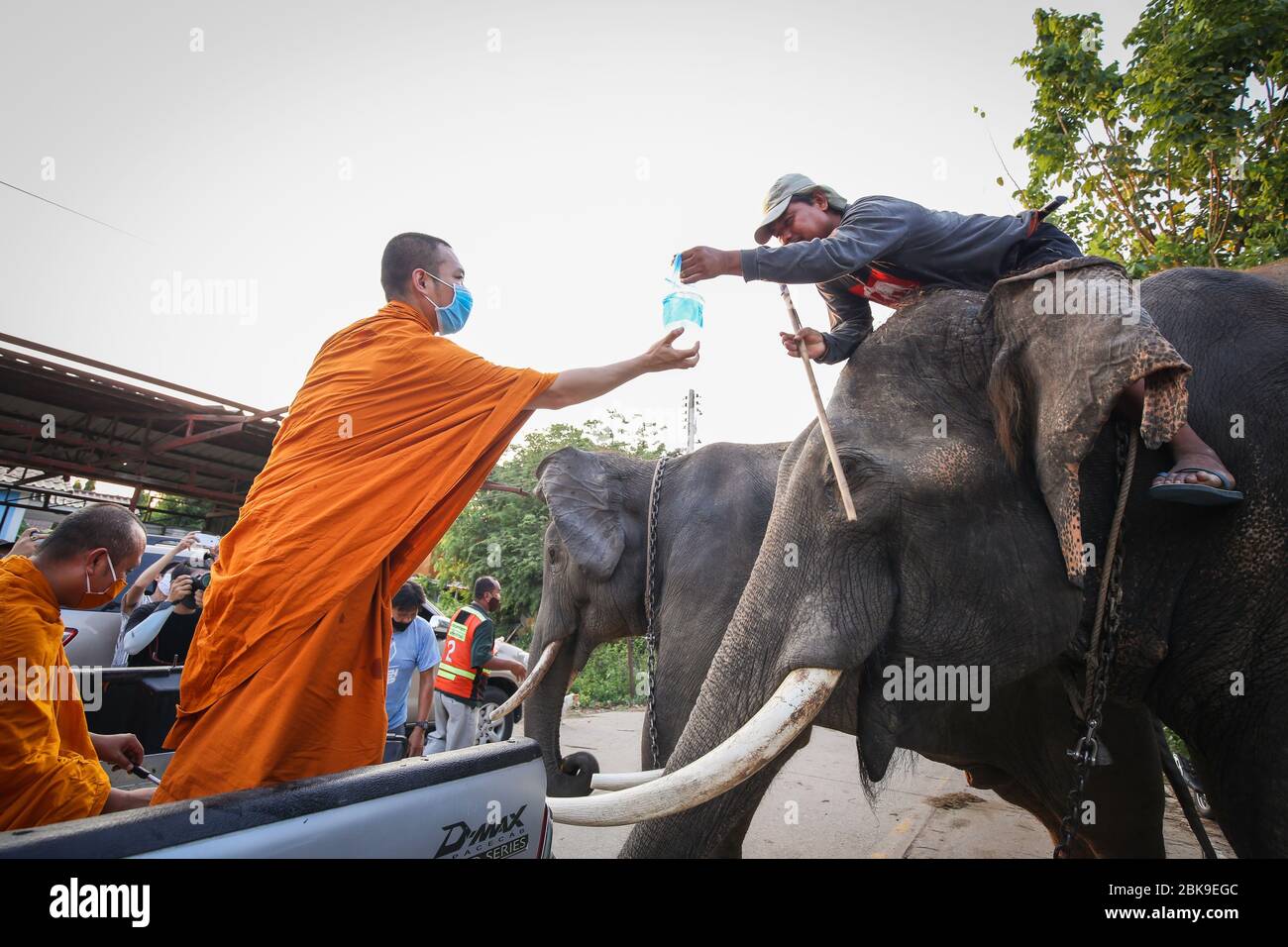 Elephant Man Disease High Resolution Stock Photography and Images - Alamy