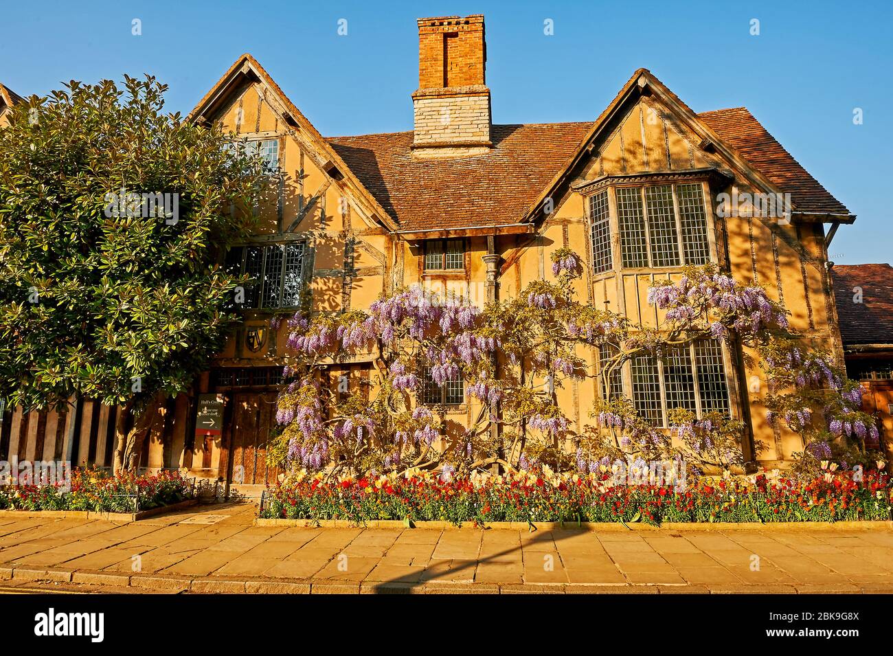 Wisteria covered Halls Croft in Stratford upon Avon, home of William ...