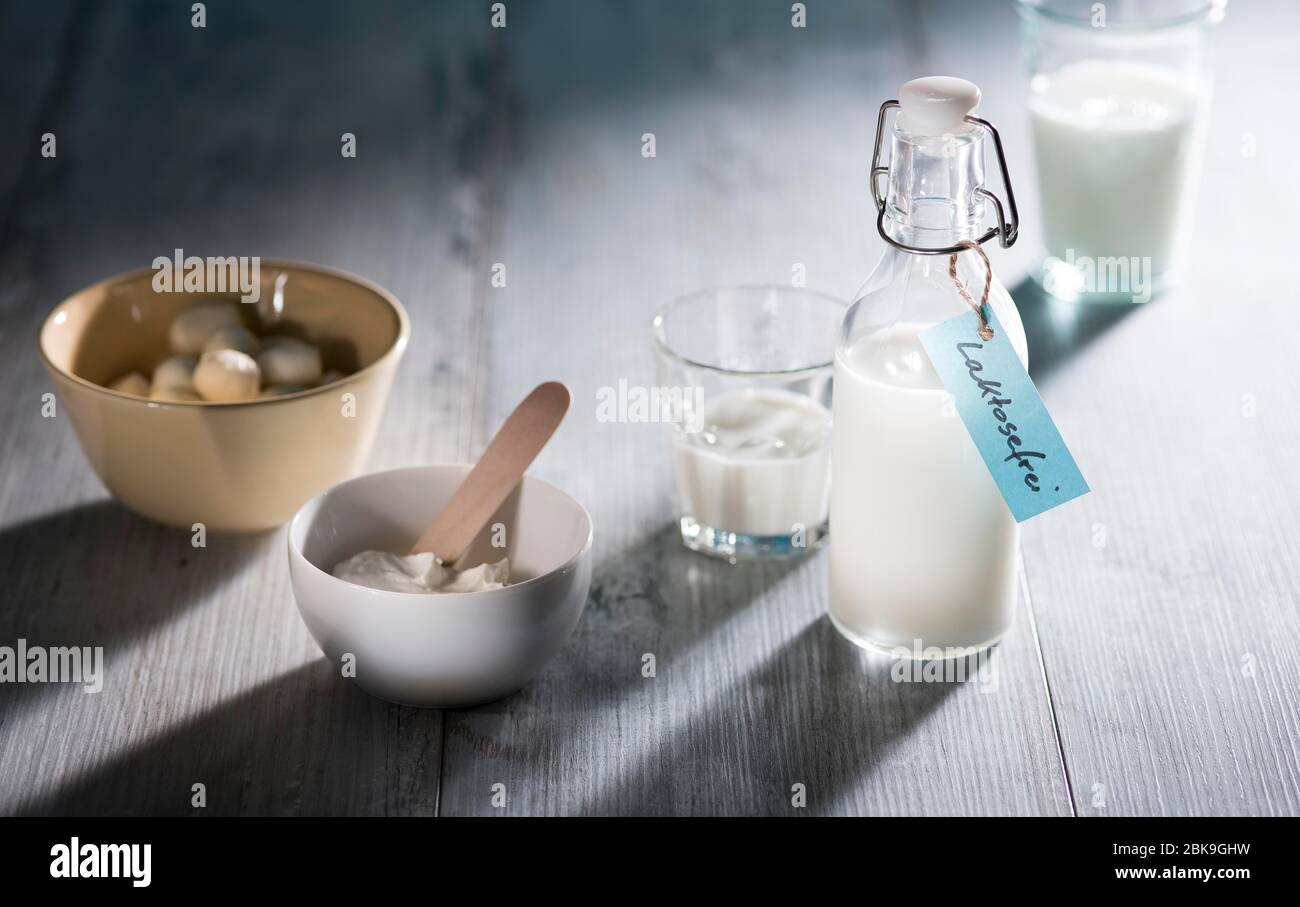 Lactose-free dairy products, milk, quark, mozzarella, Germany Stock ...