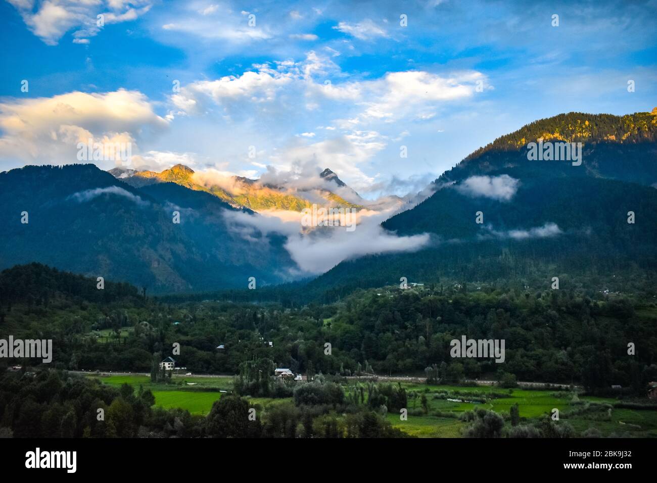 Lush terrain hi-res stock photography and images - Alamy