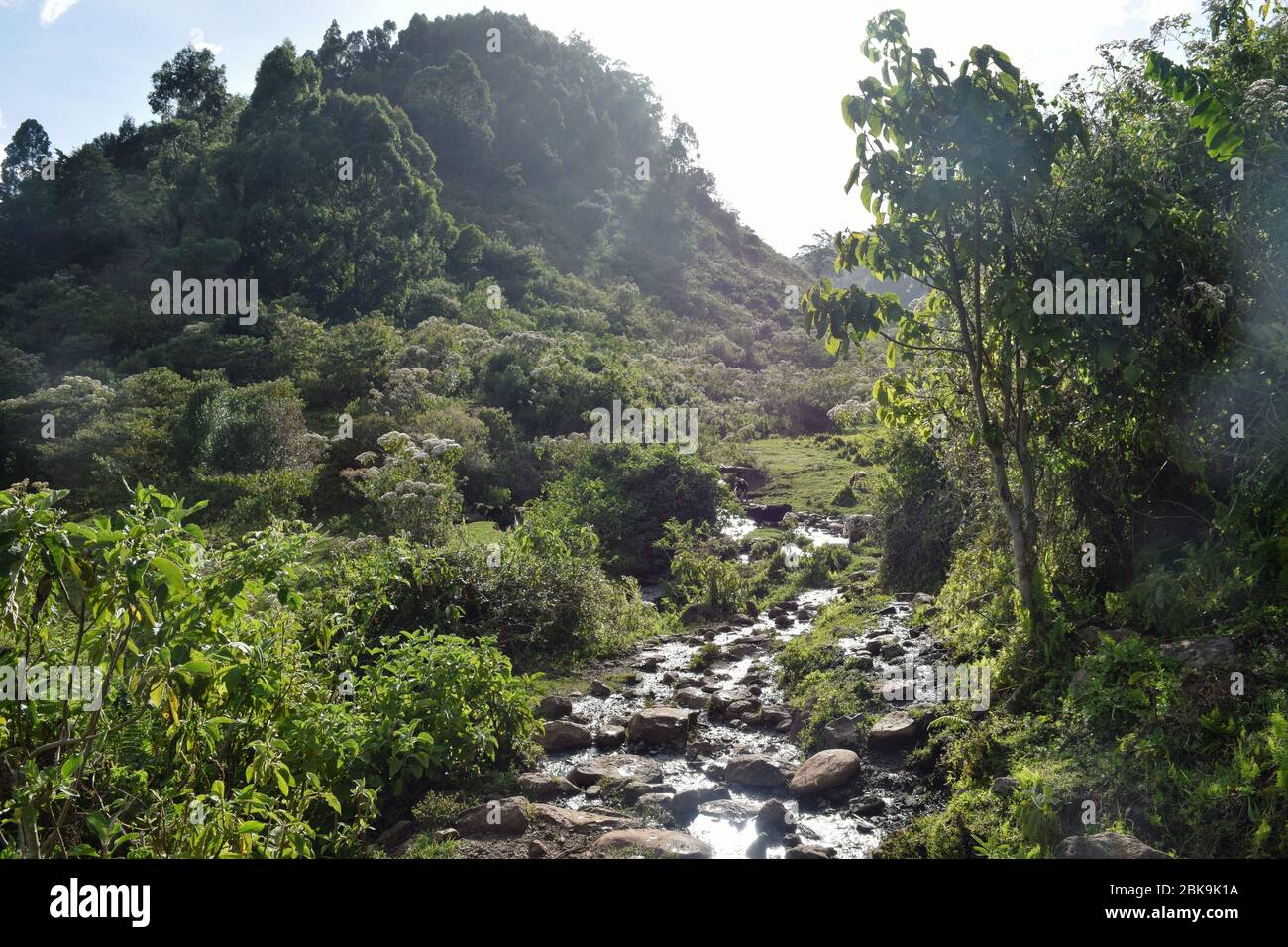 Aberdare park hi-res stock photography and images - Alamy