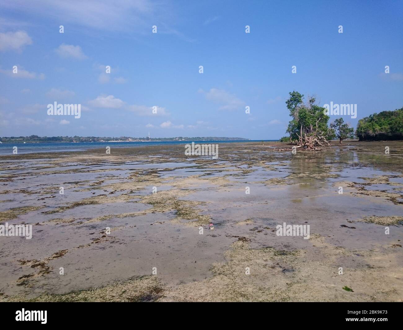 Tower island mangrove hi-res stock photography and images - Alamy