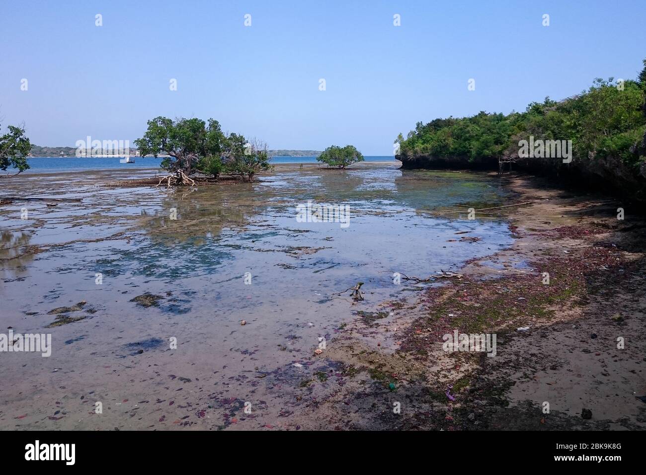 Mombasa Island High Resolution Stock Photography and Images - Alamy