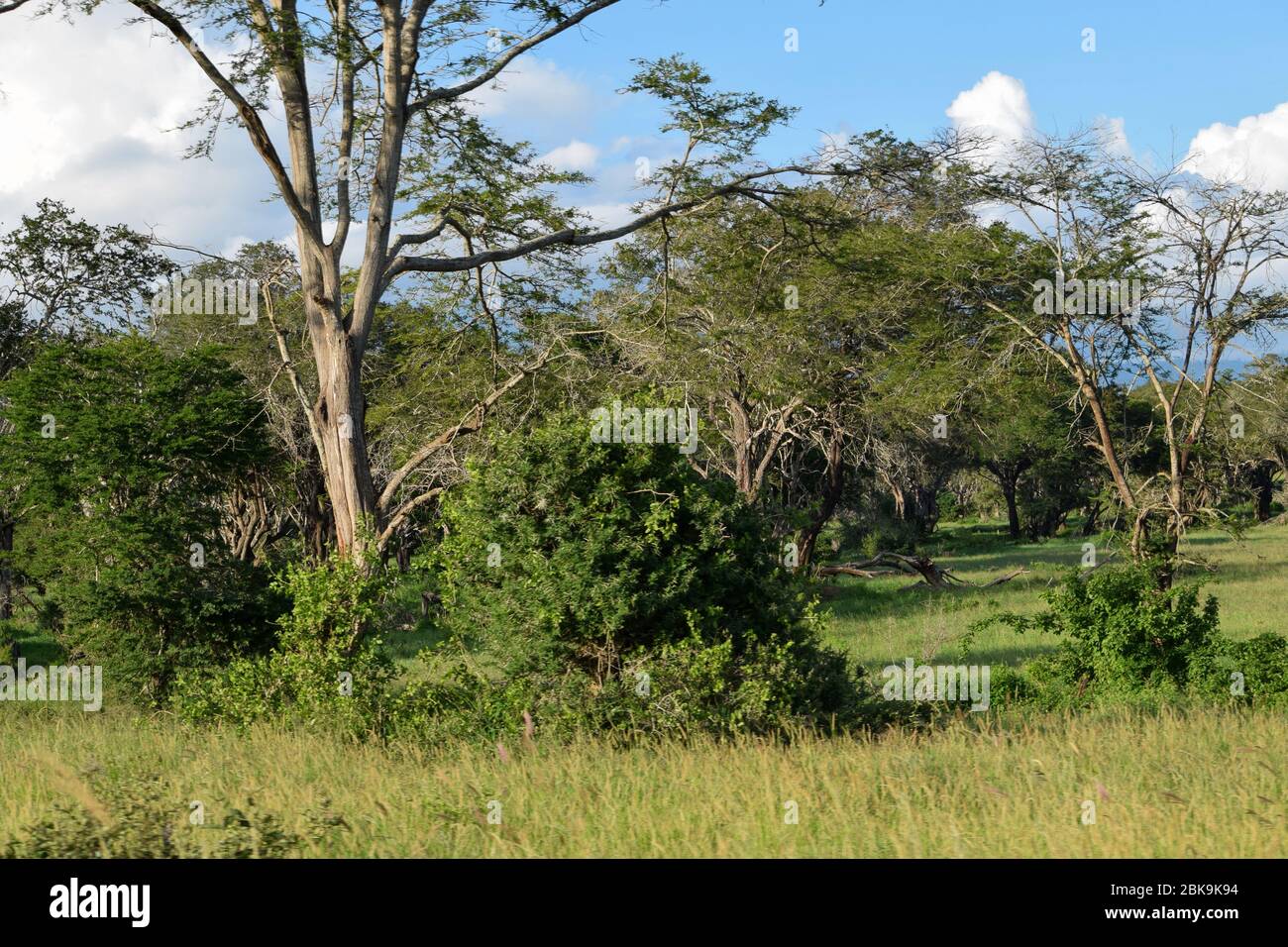 Aberdare ranges hi-res stock photography and images - Alamy