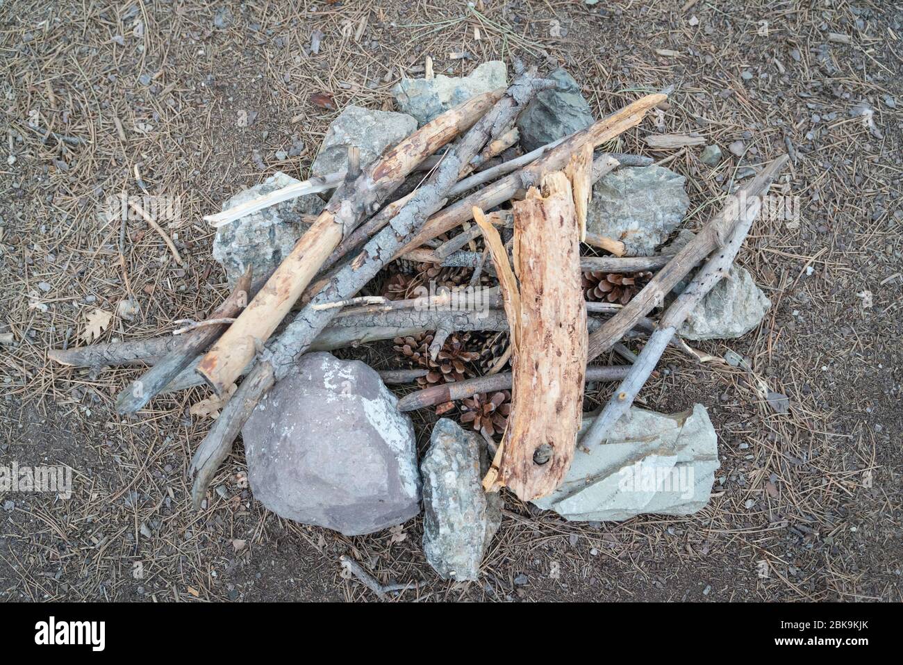 A not yet lit campfire in the middle of the forest Stock Photo - Alamy